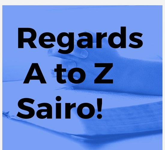 SAIRO ART & WORLD RECORD सायरो कला & विश्व कीर्तिमान - SAIRO ENTERPRISES
